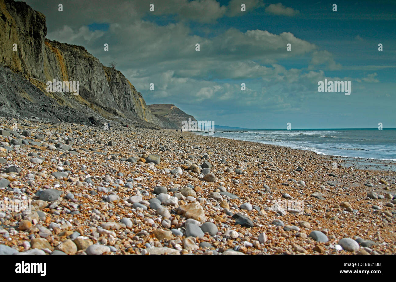Cliff charmouth hi-res stock photography and images - Alamy