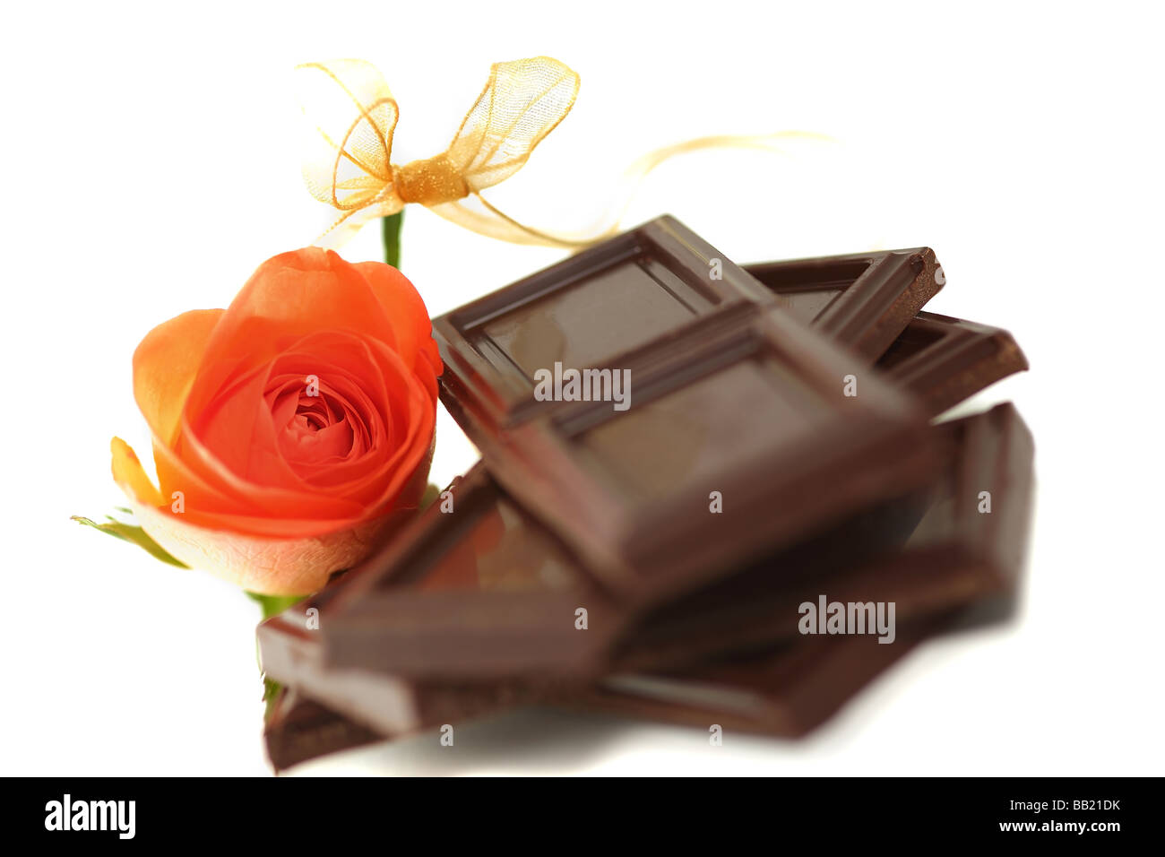 Sweets rose on white background Stock Photo - Alamy