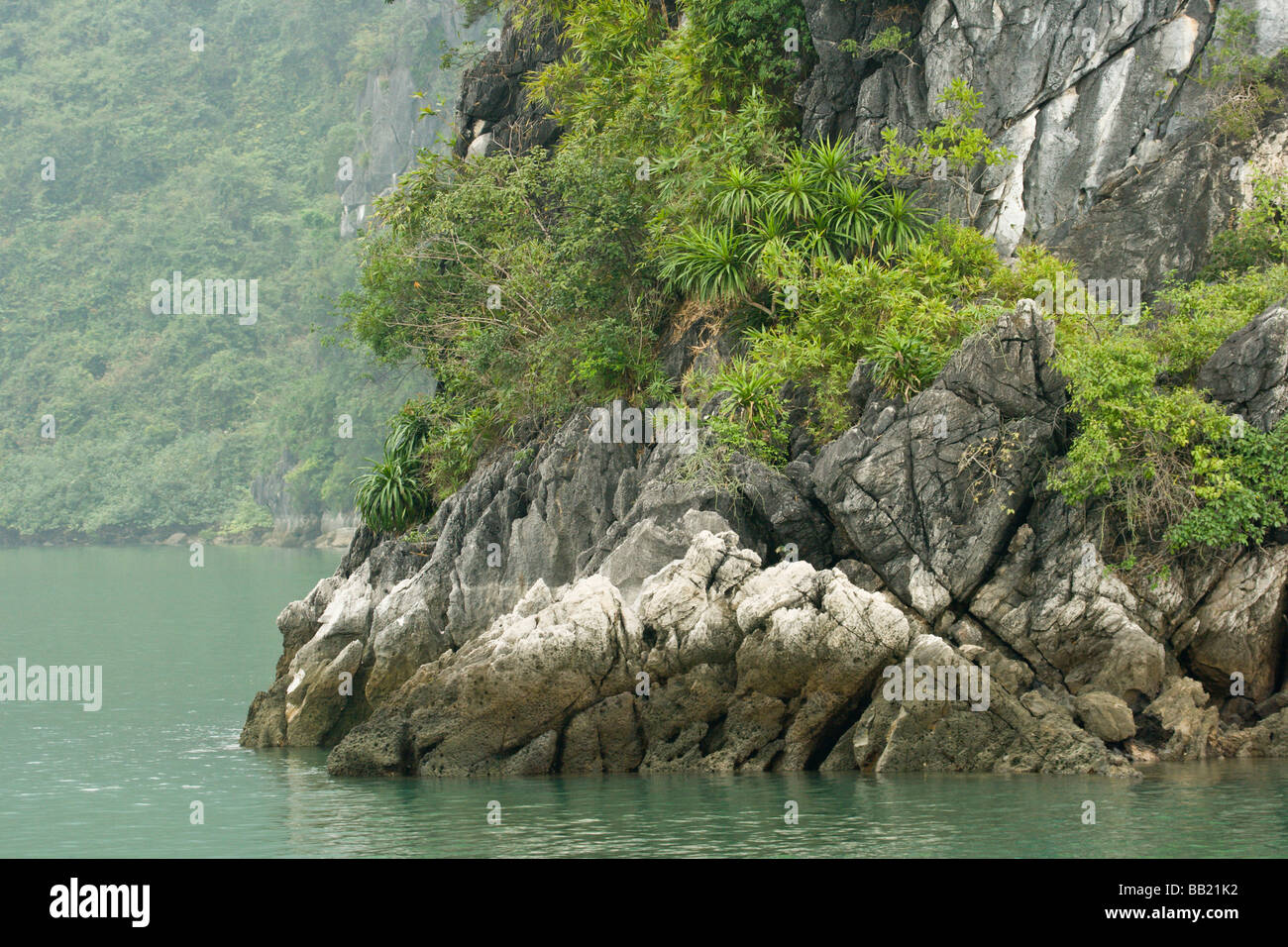 Close up of limestone karst formations, Halong Bay, UNESCO World ...