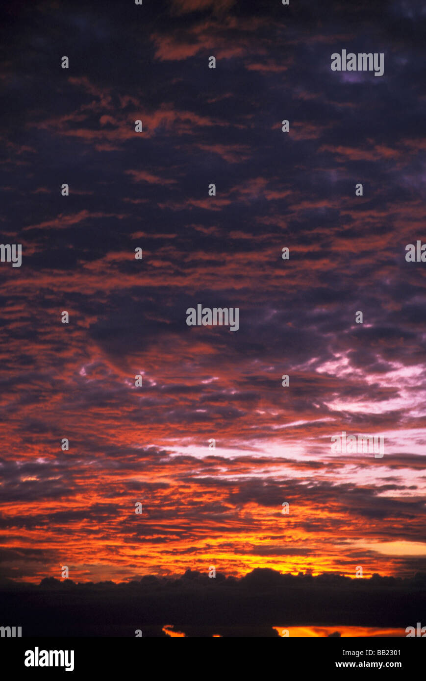 Sunset over clouds Stock Photo - Alamy