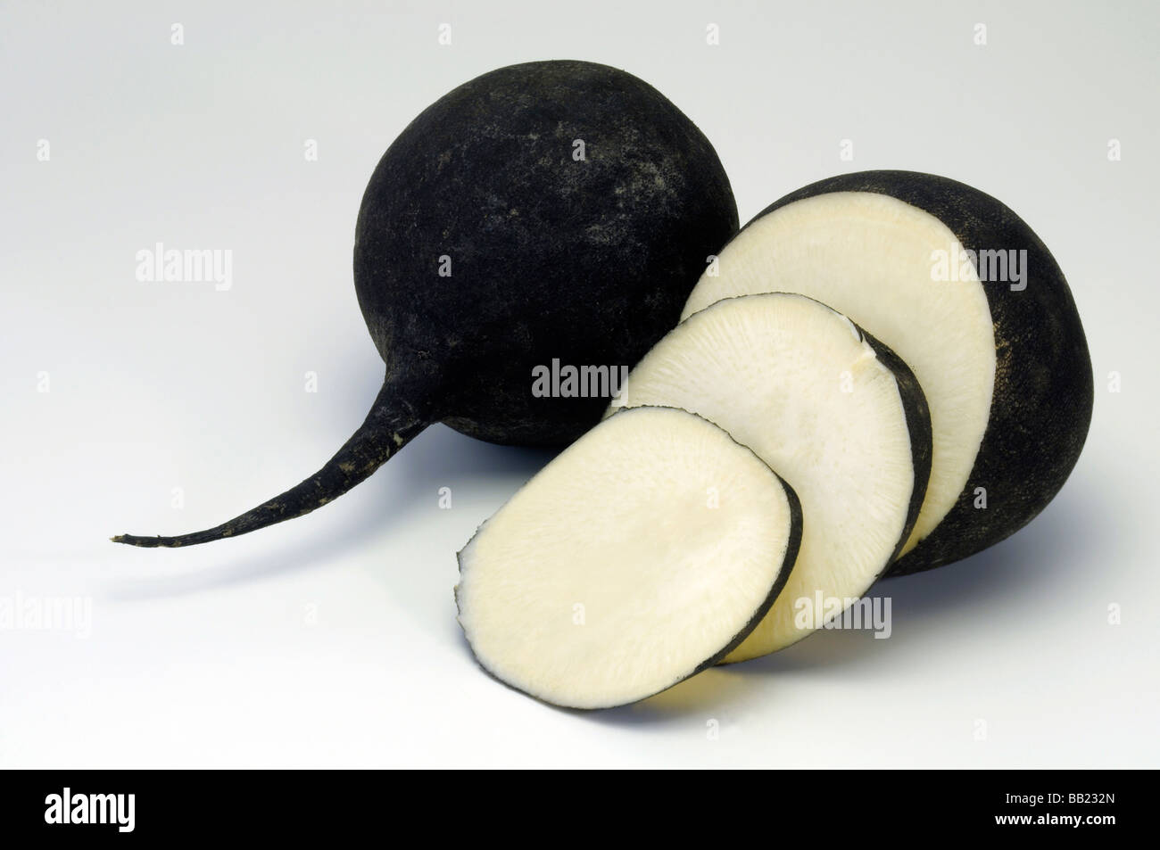 Black Winter Radish (Raphanus sativus), whole and sliced root, studio ...