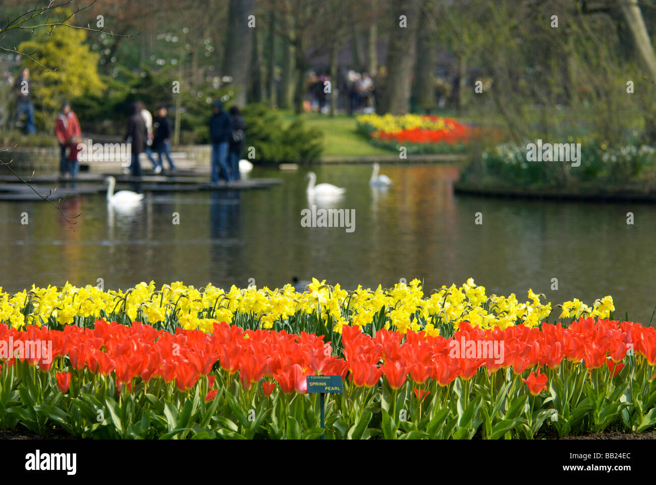Europe, Netherlands, Holland, Lisse, Keukenhof Gardens Stock Photo - Alamy
