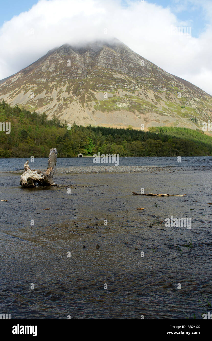Lakes grasmoor tree hi-res stock photography and images - Alamy