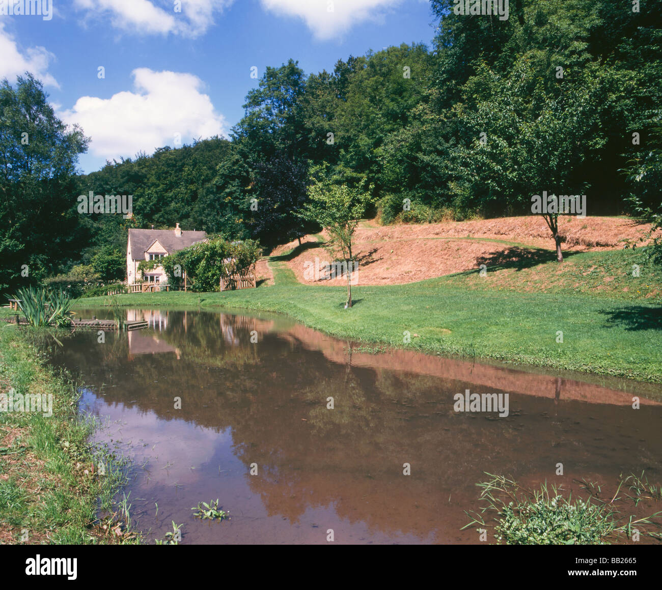 Large garden pond Stock Photo - Alamy