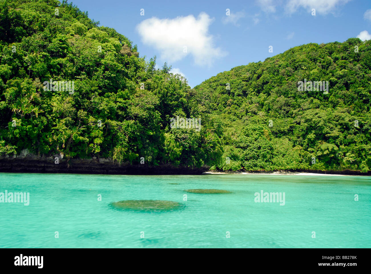 PALAU. Crystal clear sea water at the foot of two small hills covered ...