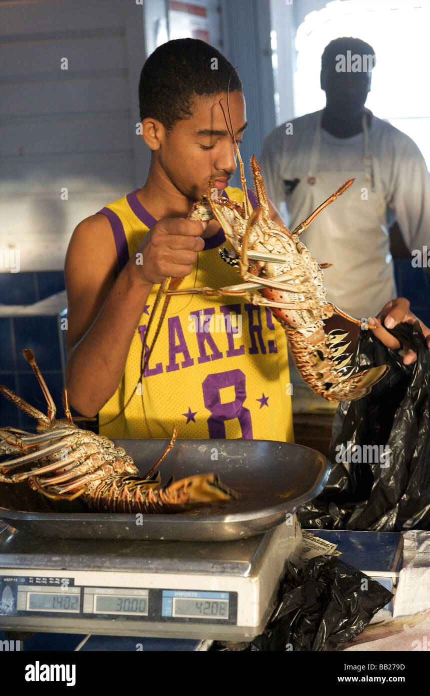 Sint Maarten Fish High Resolution Stock Photography and Images - Alamy