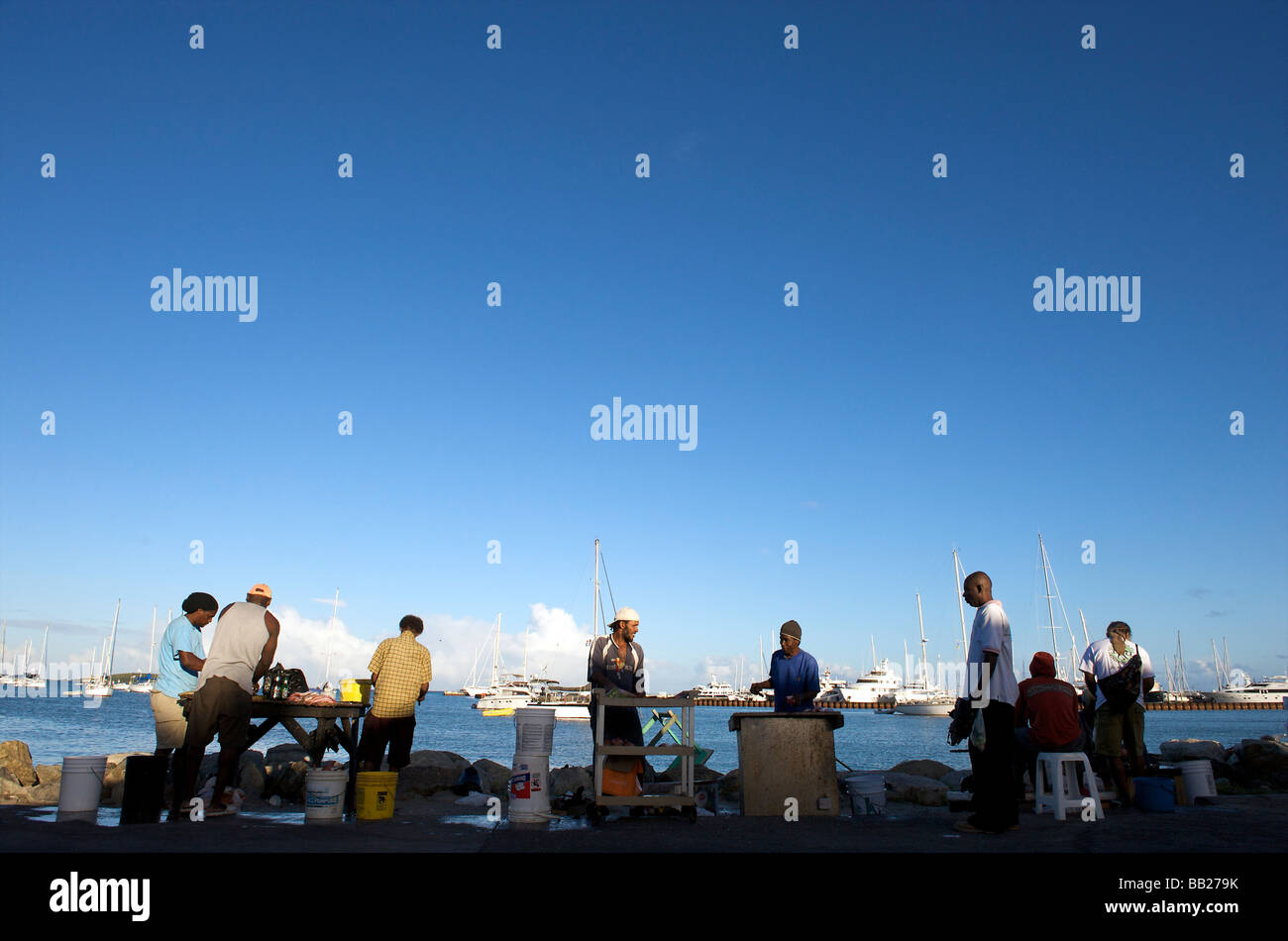 Sint maarten fish hi-res stock photography and images - Alamy
