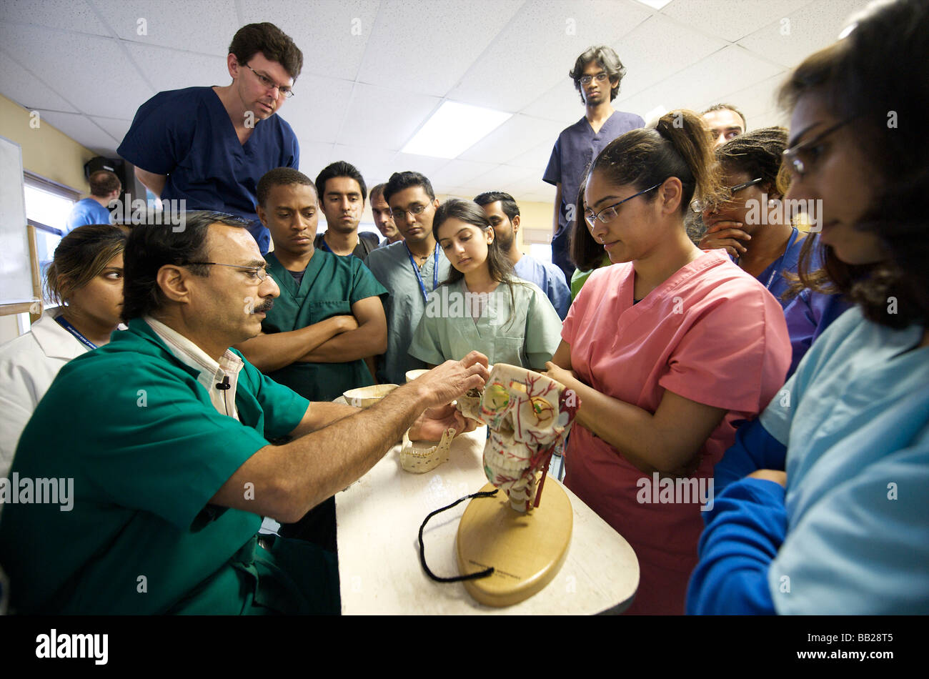 Medical students during anatomy class hi-res stock photography and ...