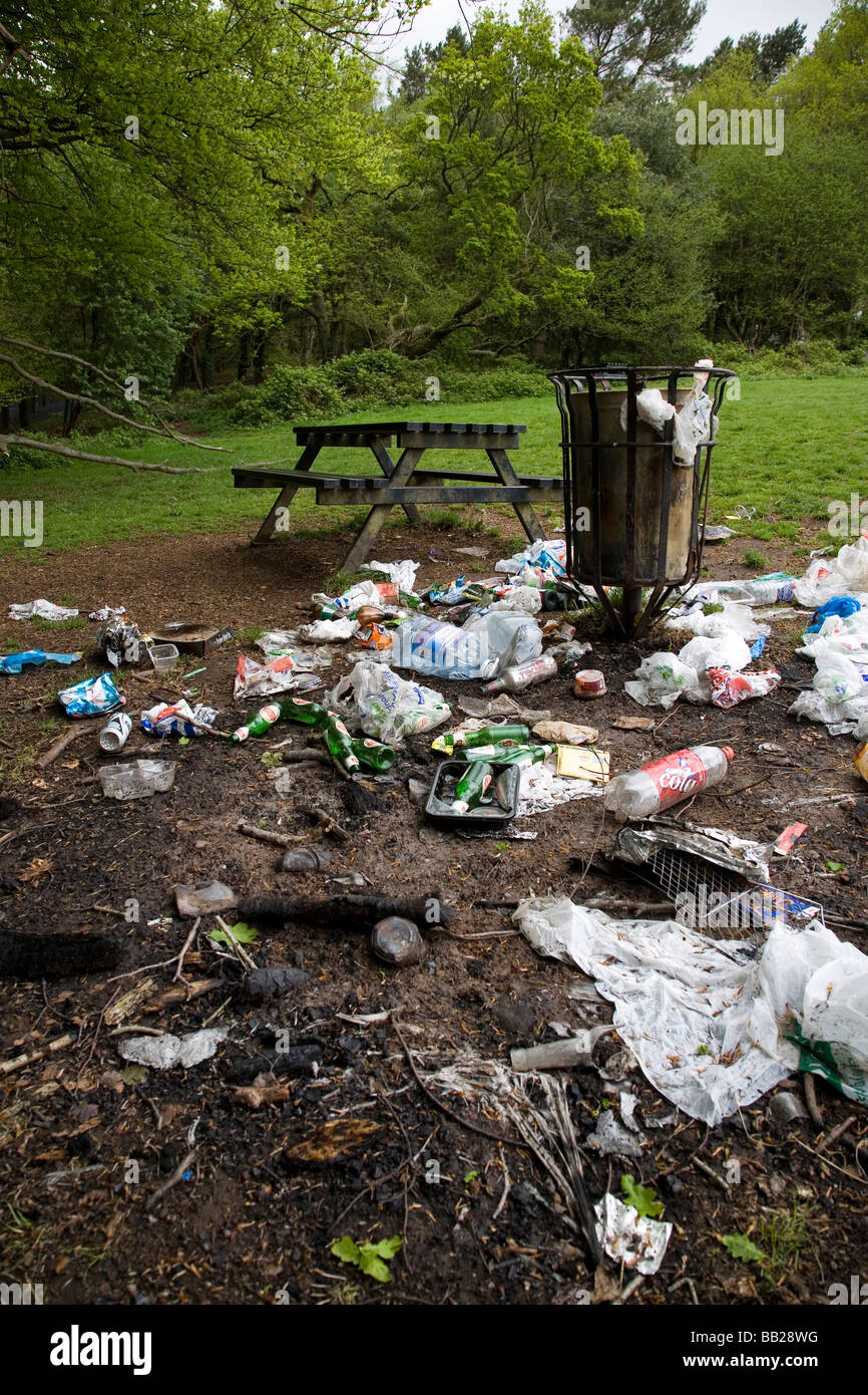 Litter strewn around a bin at a picnic site Stock Photo - Alamy