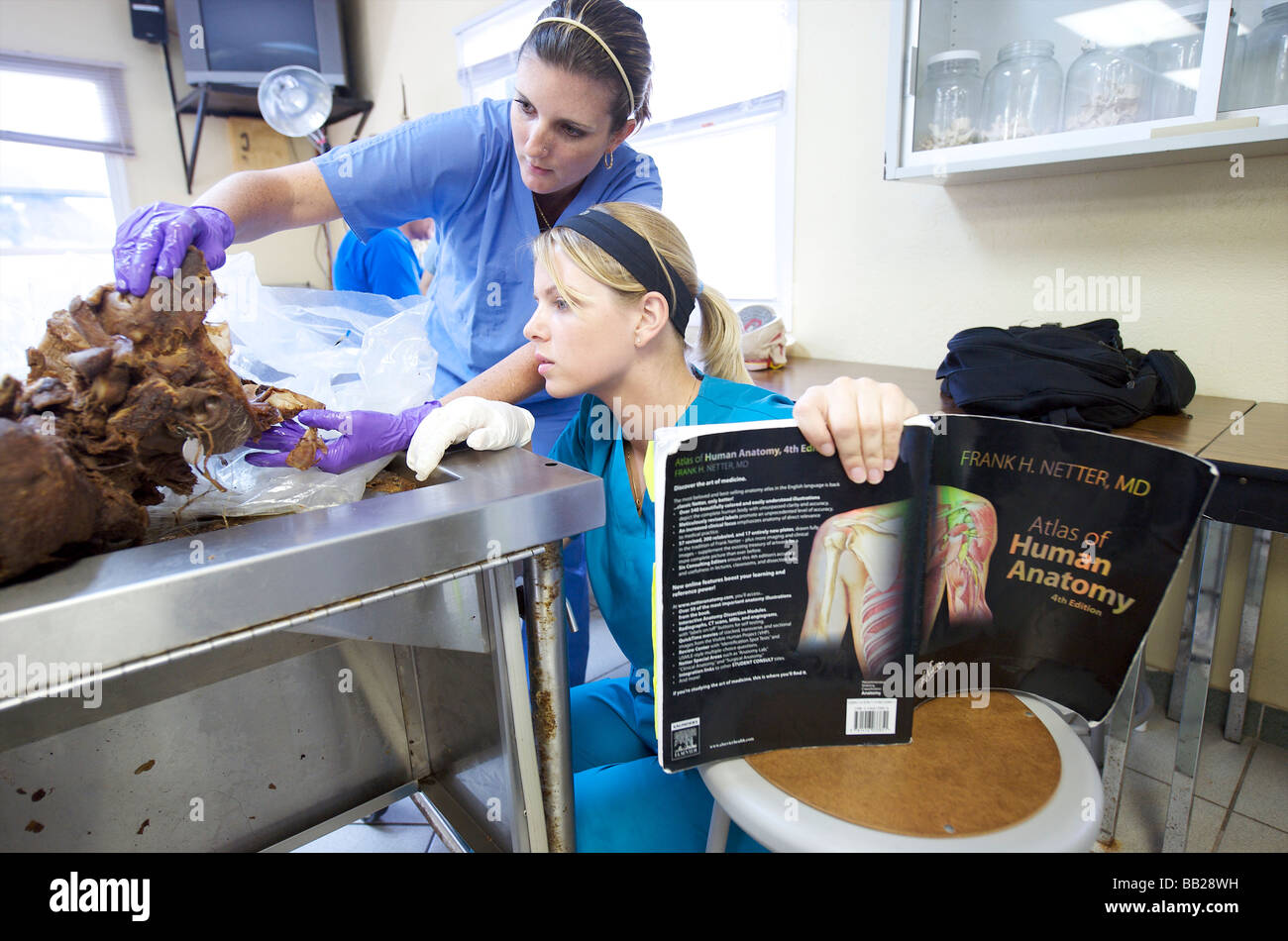 Medical students during anatomy class hi-res stock photography and ...