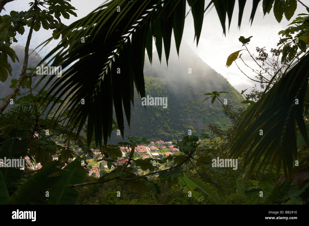 Saba view on the Bottom from Mt Scenery rainforest tropical vegatation ...