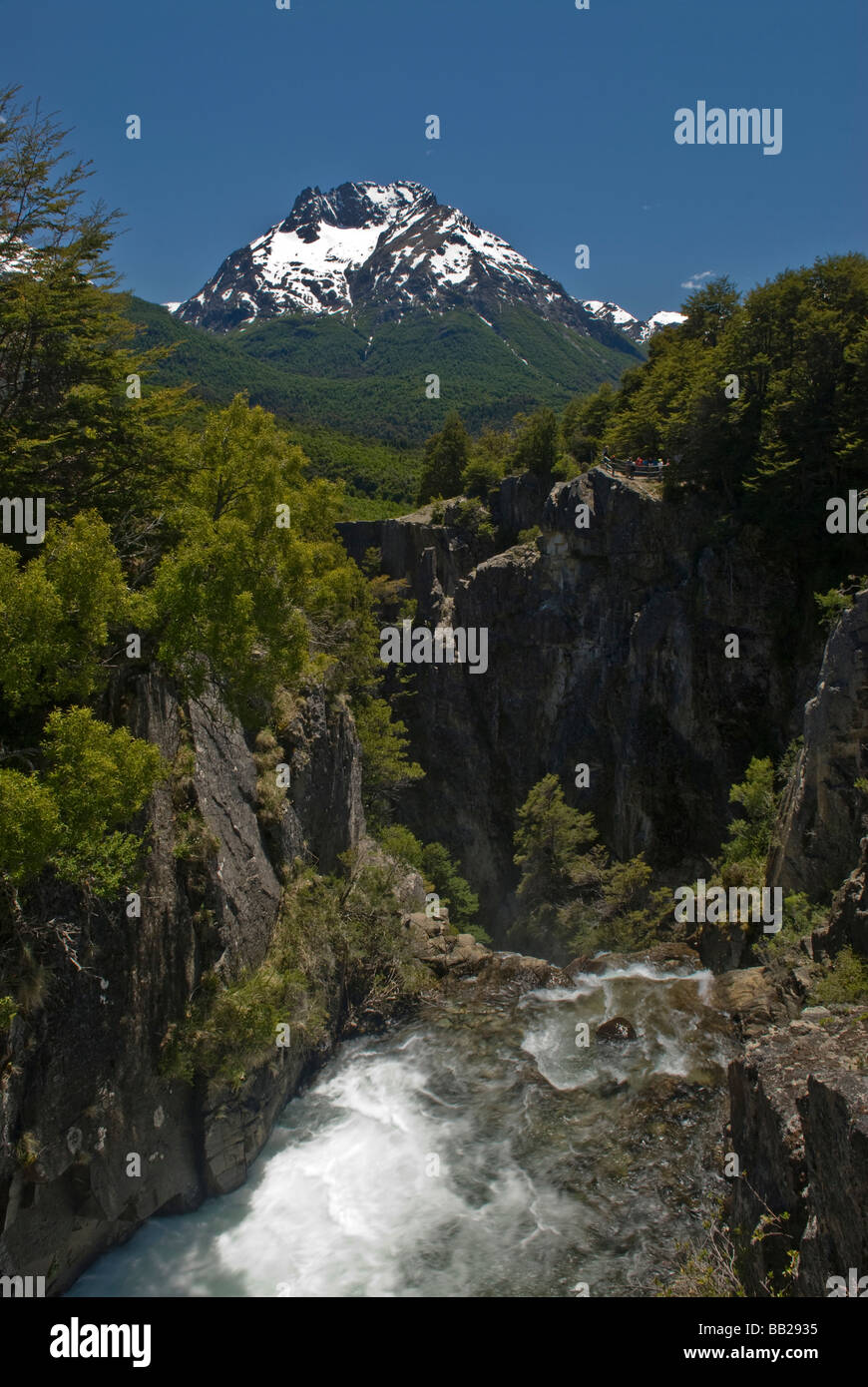 South America; Argentina; Patagonia; Lake Nahuel Huapi National Park ...