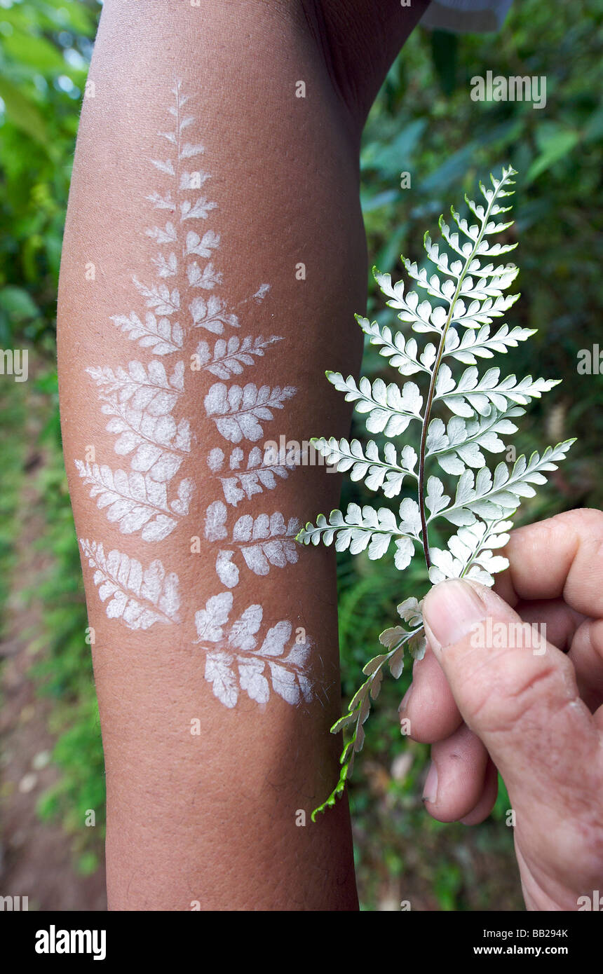 Silver fern hi-res stock photography and images - Alamy