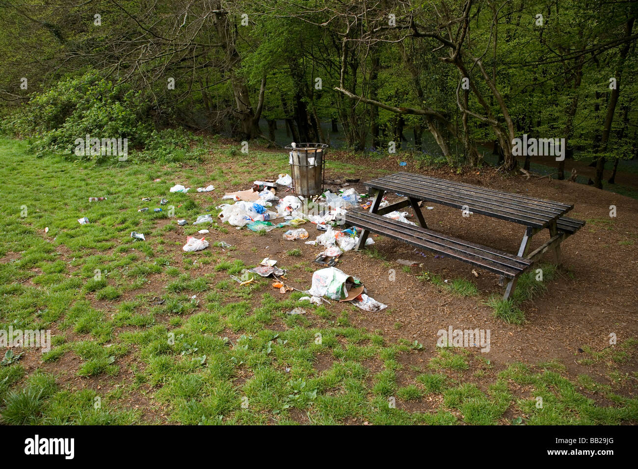 Litter strewn around a bin at a picnic site Stock Photo - Alamy