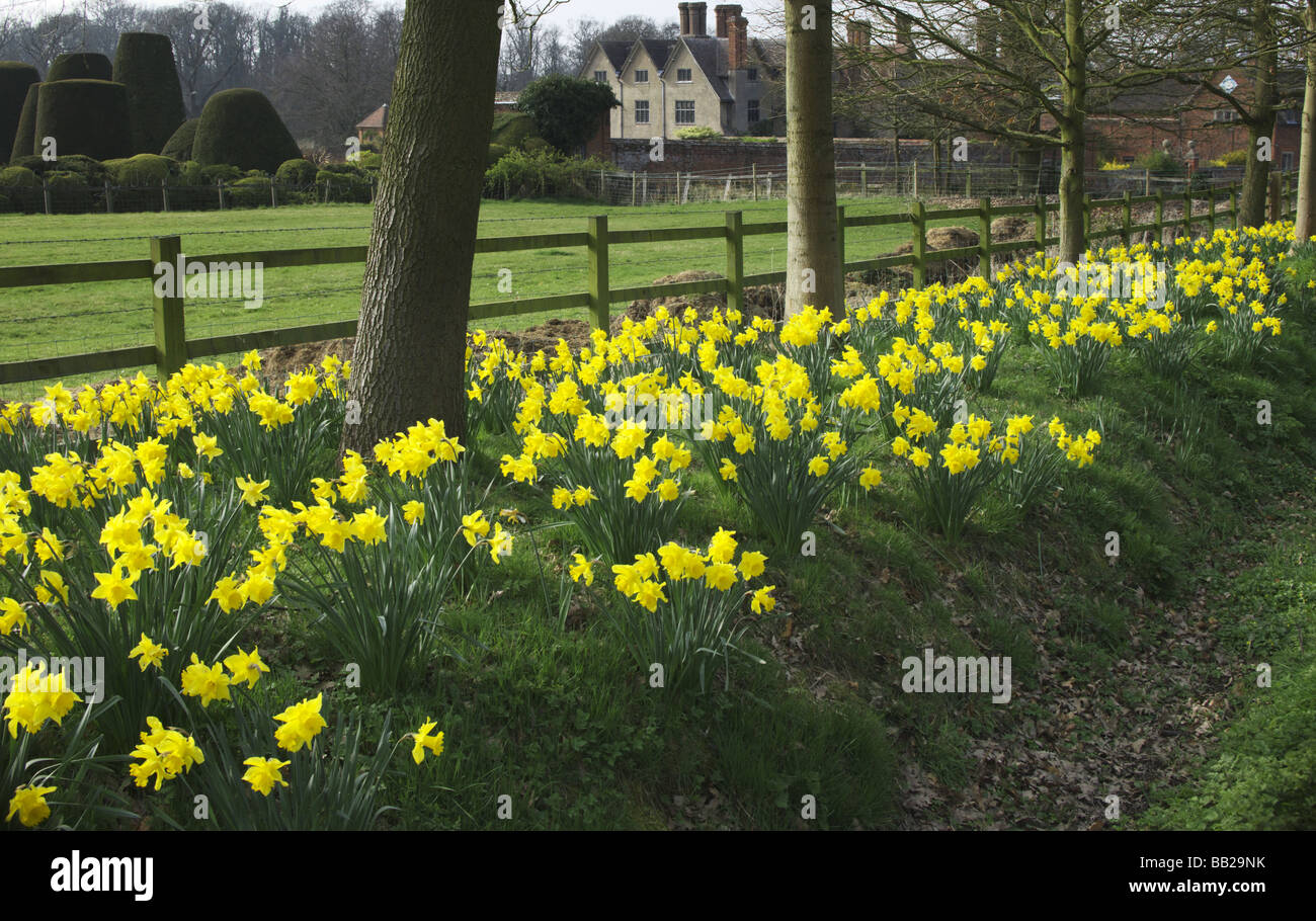 Packwood house flowers hi-res stock photography and images - Alamy