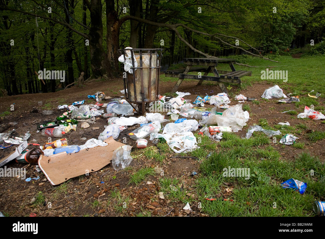 Litter strewn around a bin at a picnic site Stock Photo - Alamy