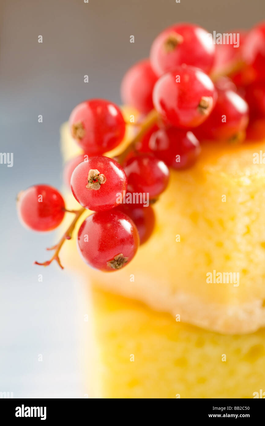 Vanilla cake with some red berries on top Stock Photo - Alamy