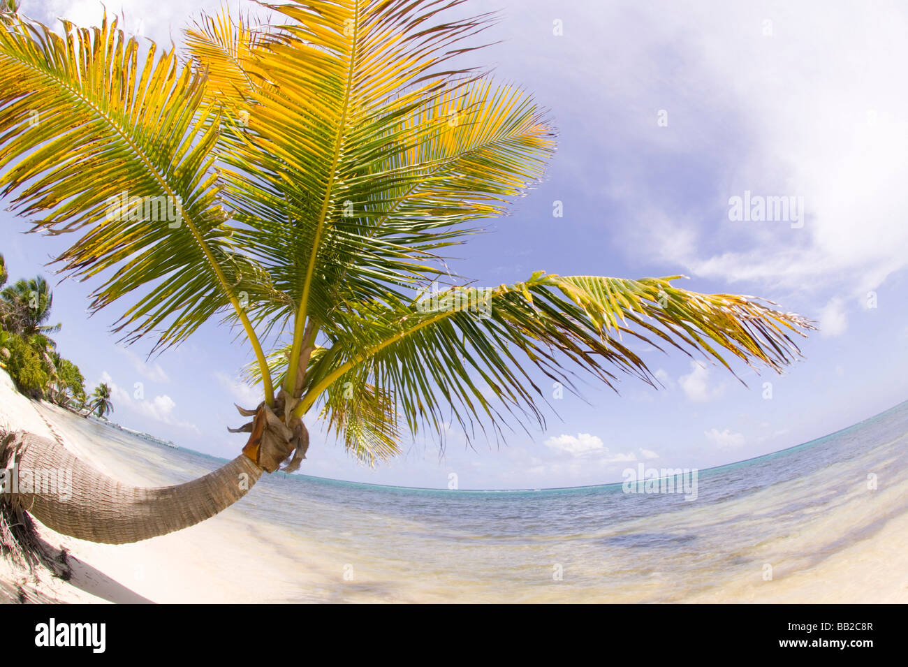 fisheye camera lens view of island resort paradise, Turneffe Caye ...