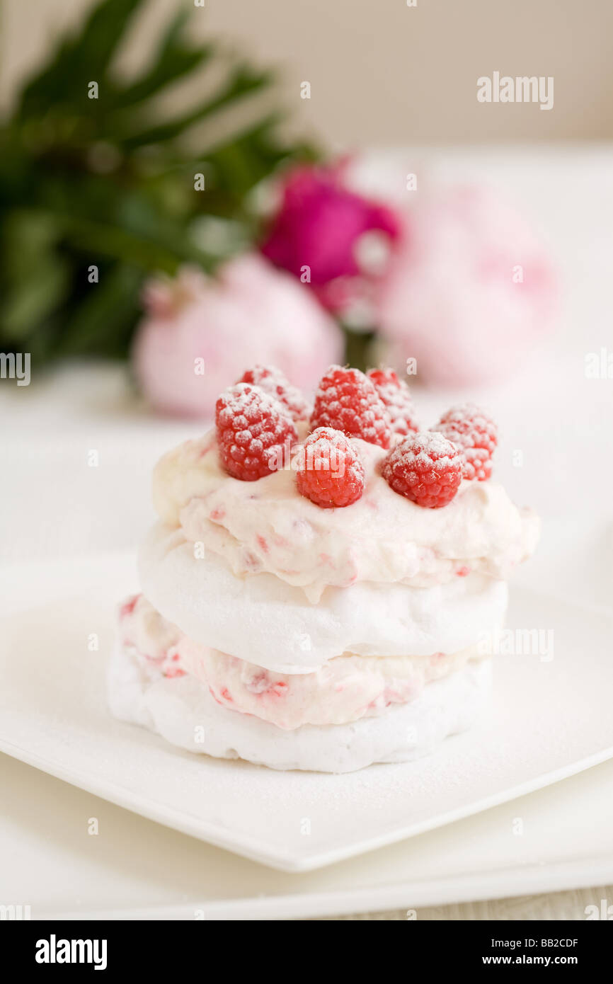 Delicious meringue dessert with raspberry cream and fresh raspberries ...