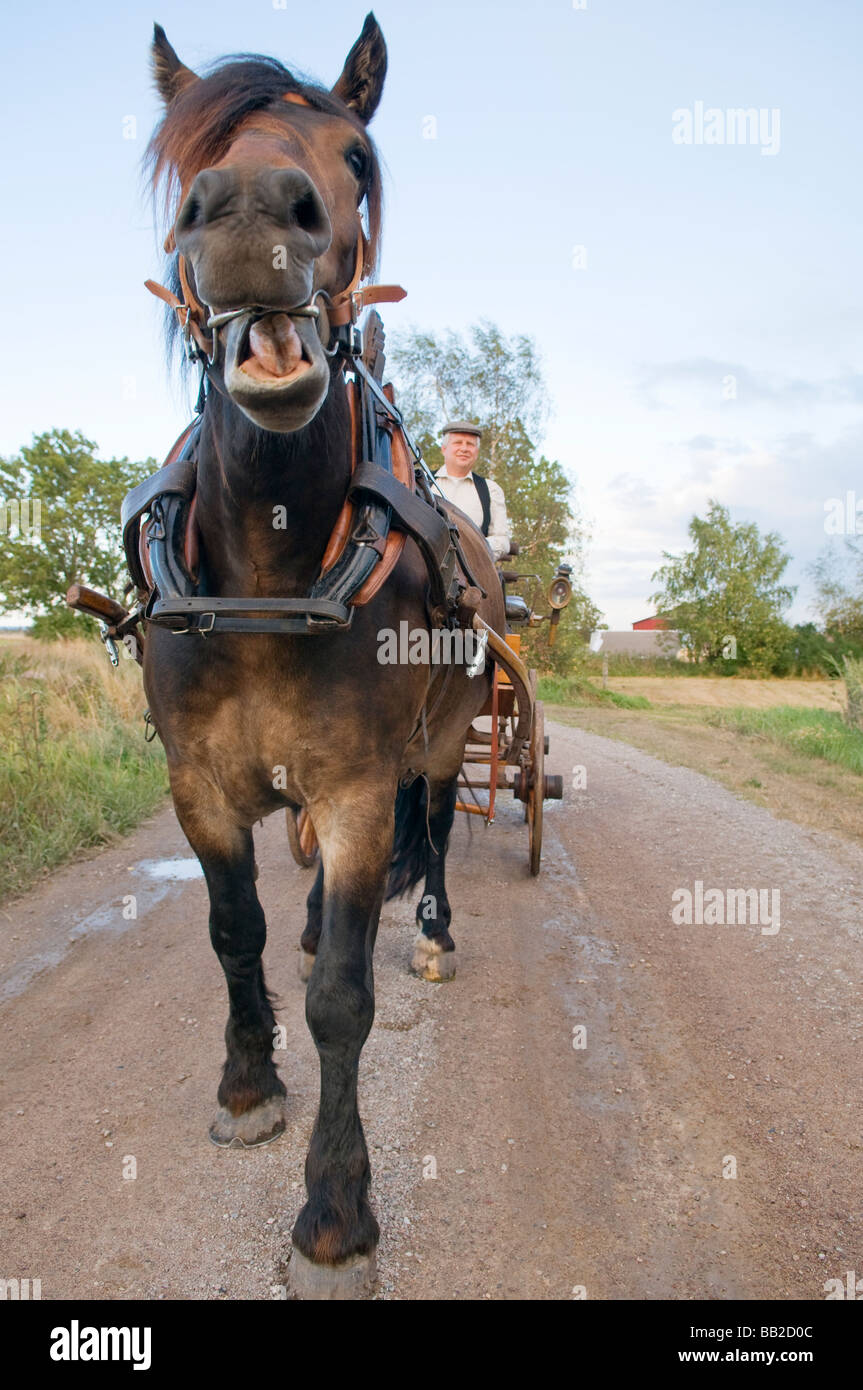 Horse pulling a wagon Stock Photo - Alamy