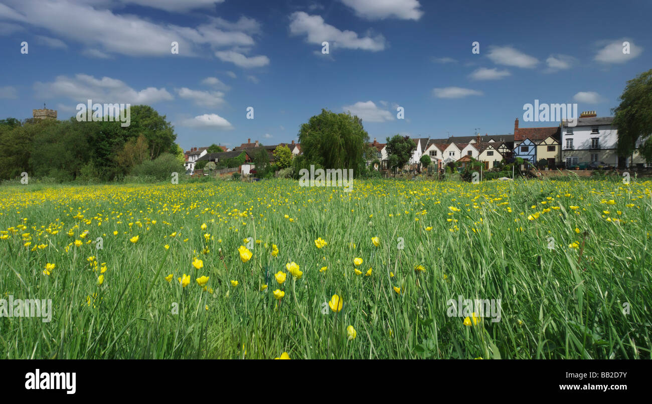 village with houses in countryside Stock Photo - Alamy
