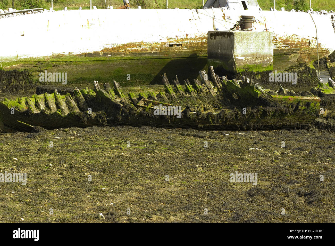 Broken Boats High Resolution Stock Photography and Images - Alamy