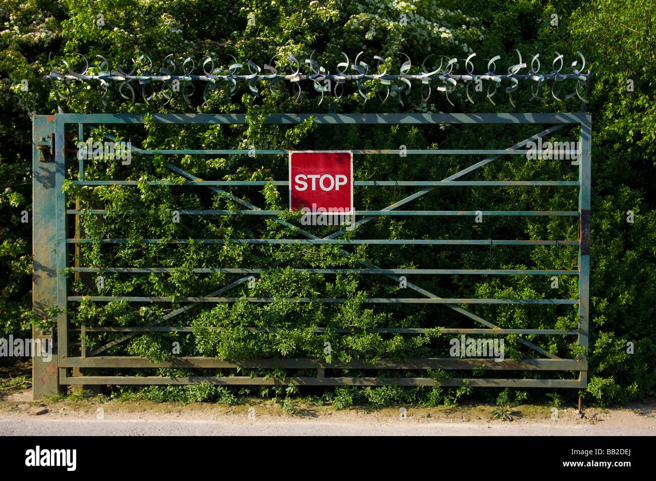 Barruer Stop Sign Stock Photo - Alamy