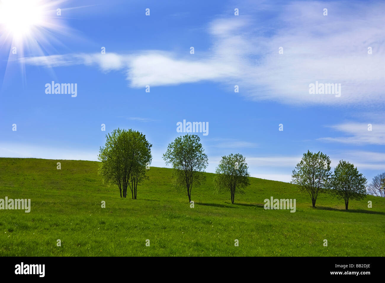 Blue bush hill hi-res stock photography and images - Alamy