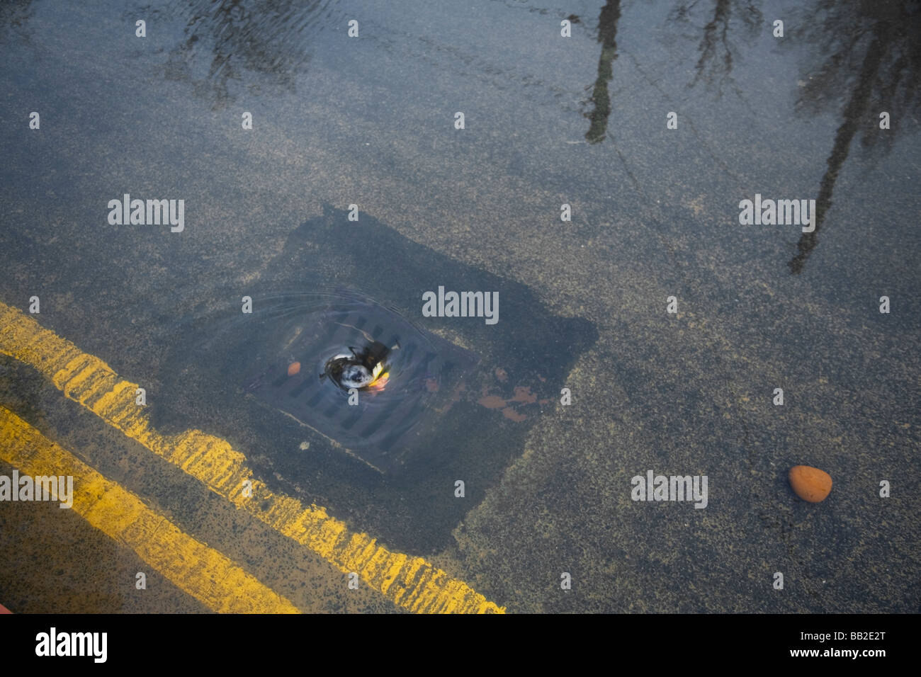 Sudden flood hi-res stock photography and images - Alamy