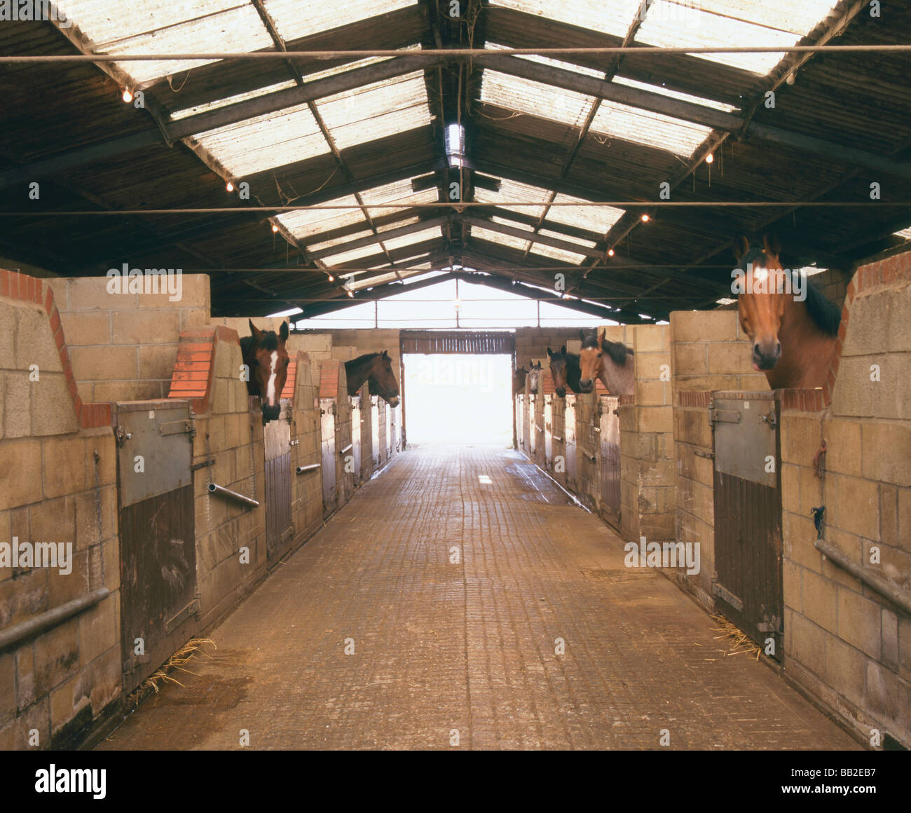 Horse stables interior Stock Photo - Alamy