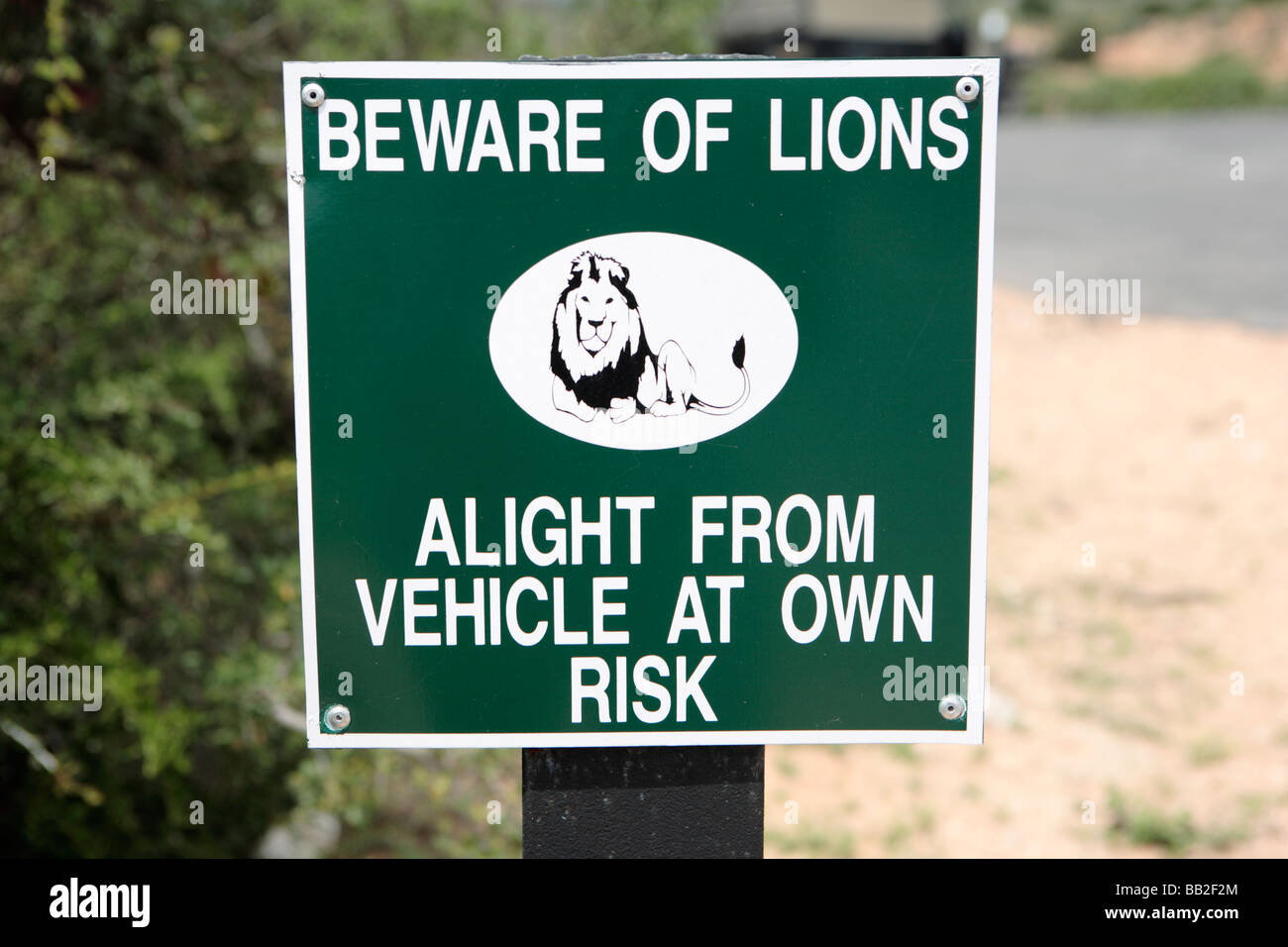 Beware of lions hi-res stock photography and images - Alamy