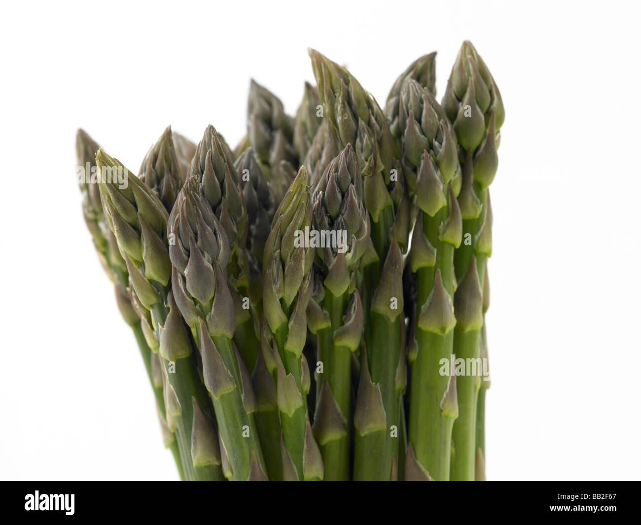 English asparagus bundle hi-res stock photography and images - Alamy