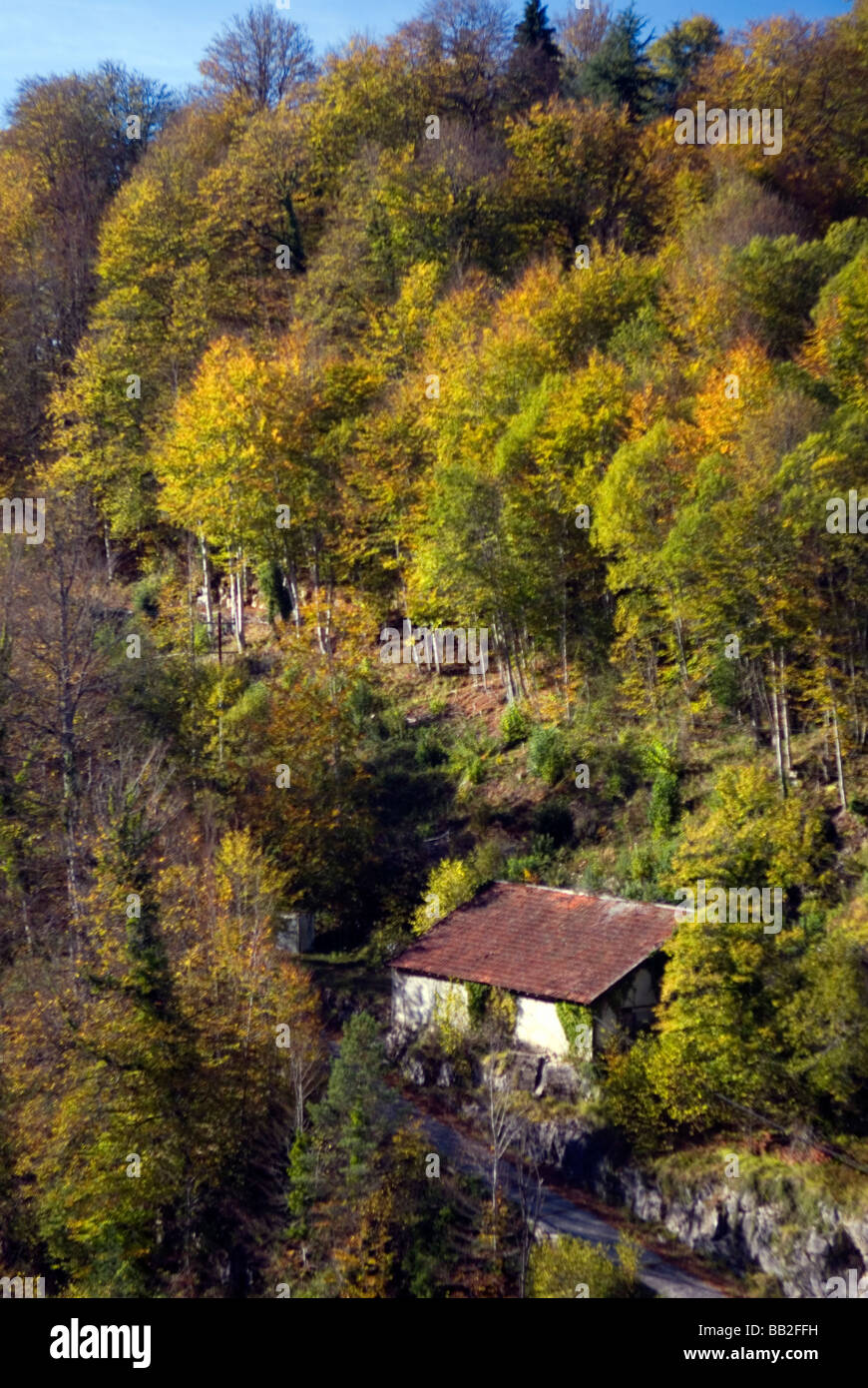 Irati Forest - haunt of famed trout fisherman Ernest Hemingway - is one ...