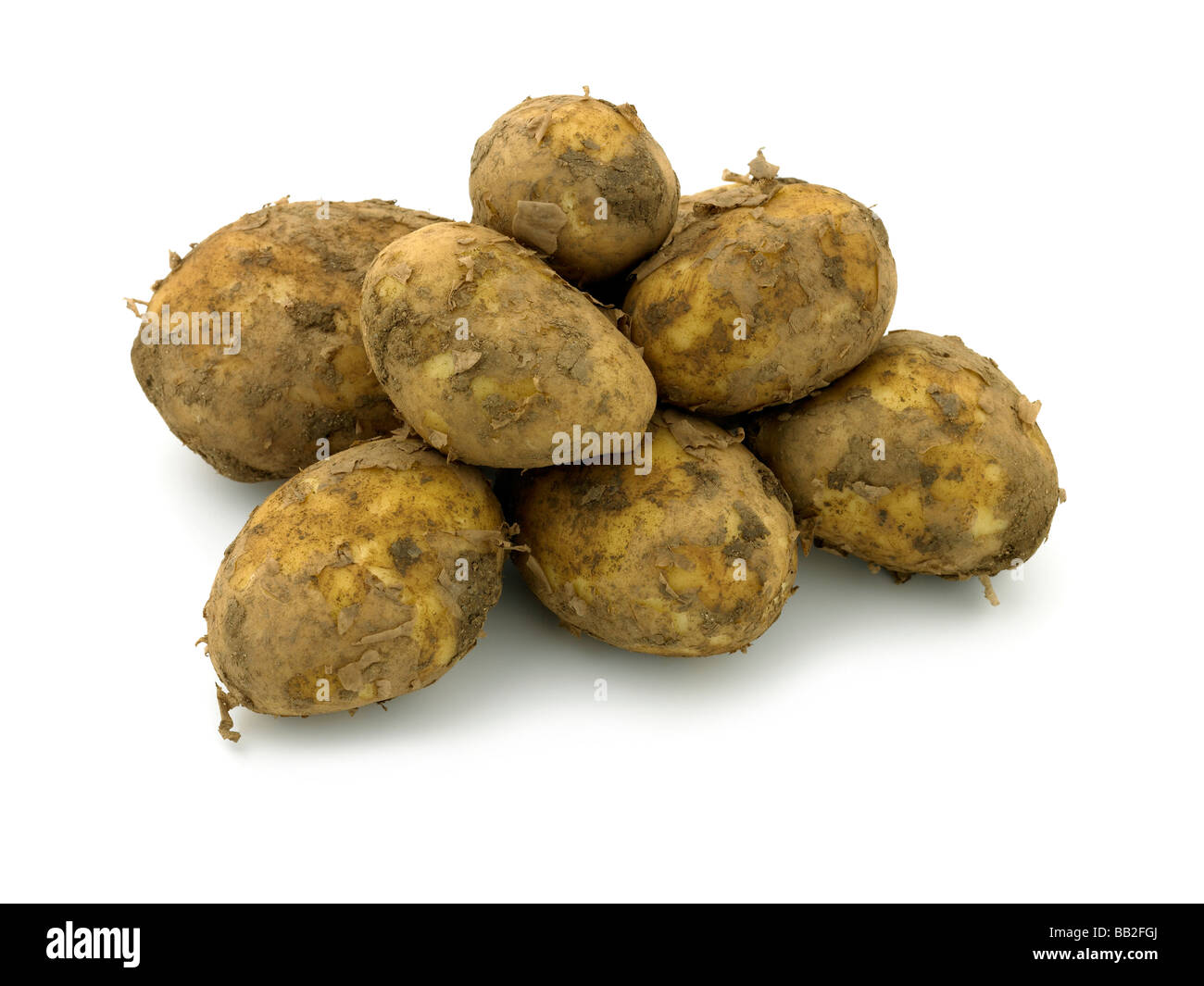 Mud dig Cut Out Stock Images & Pictures - Alamy