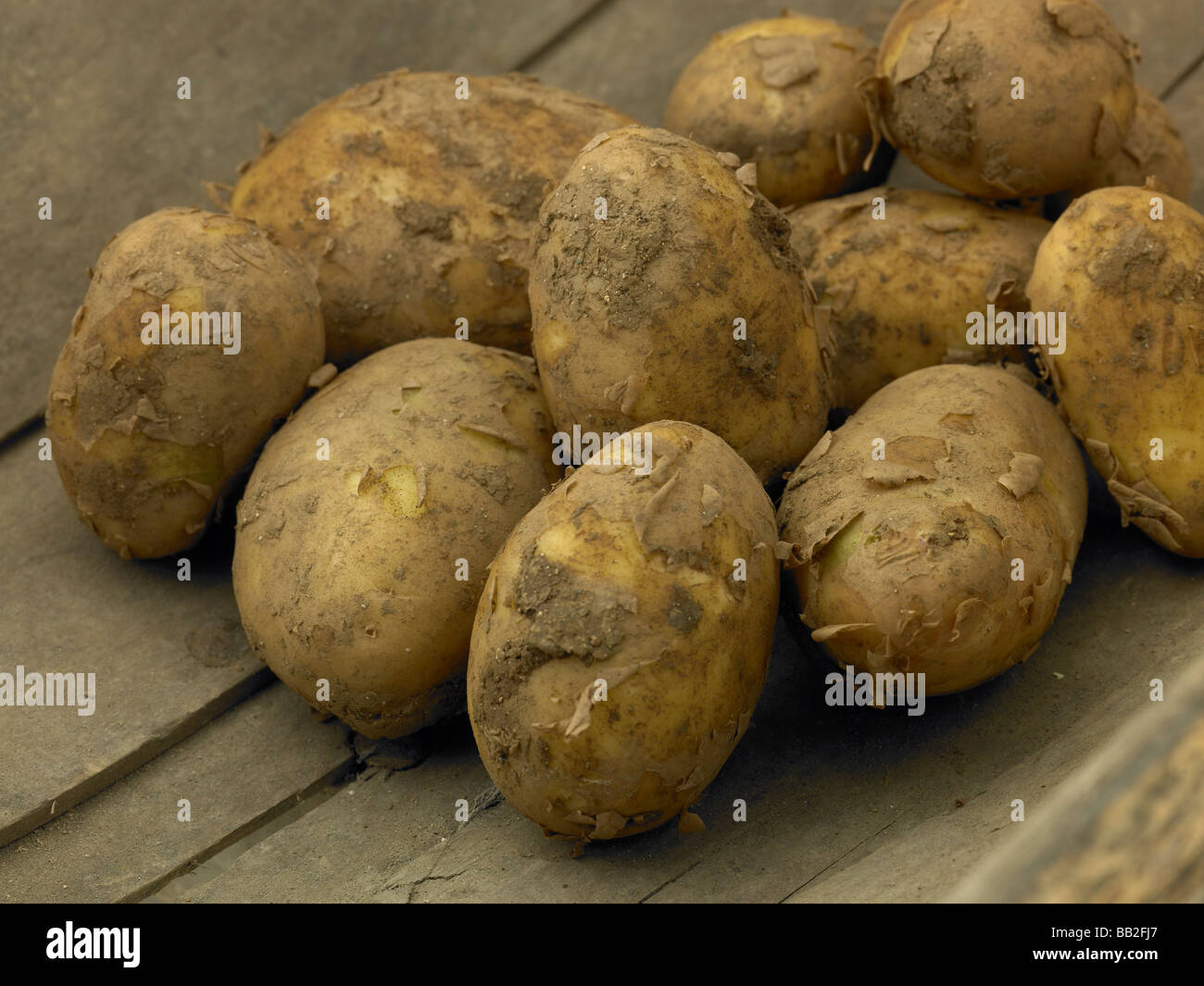Five potatoes hi-res stock photography and images - Alamy