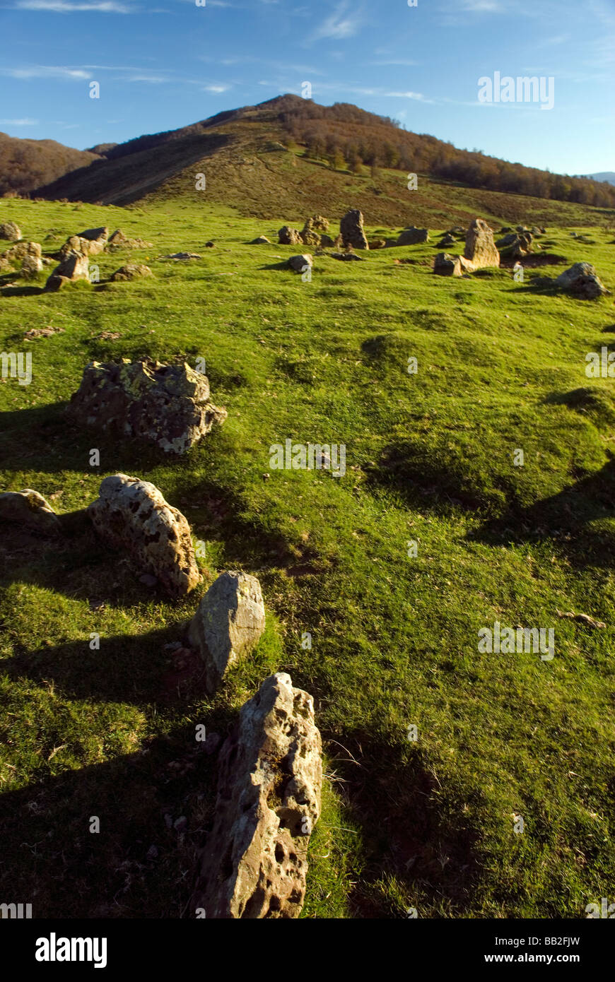 Irati Forest - haunt of famed trout fisherman Ernest Hemingway - is one ...
