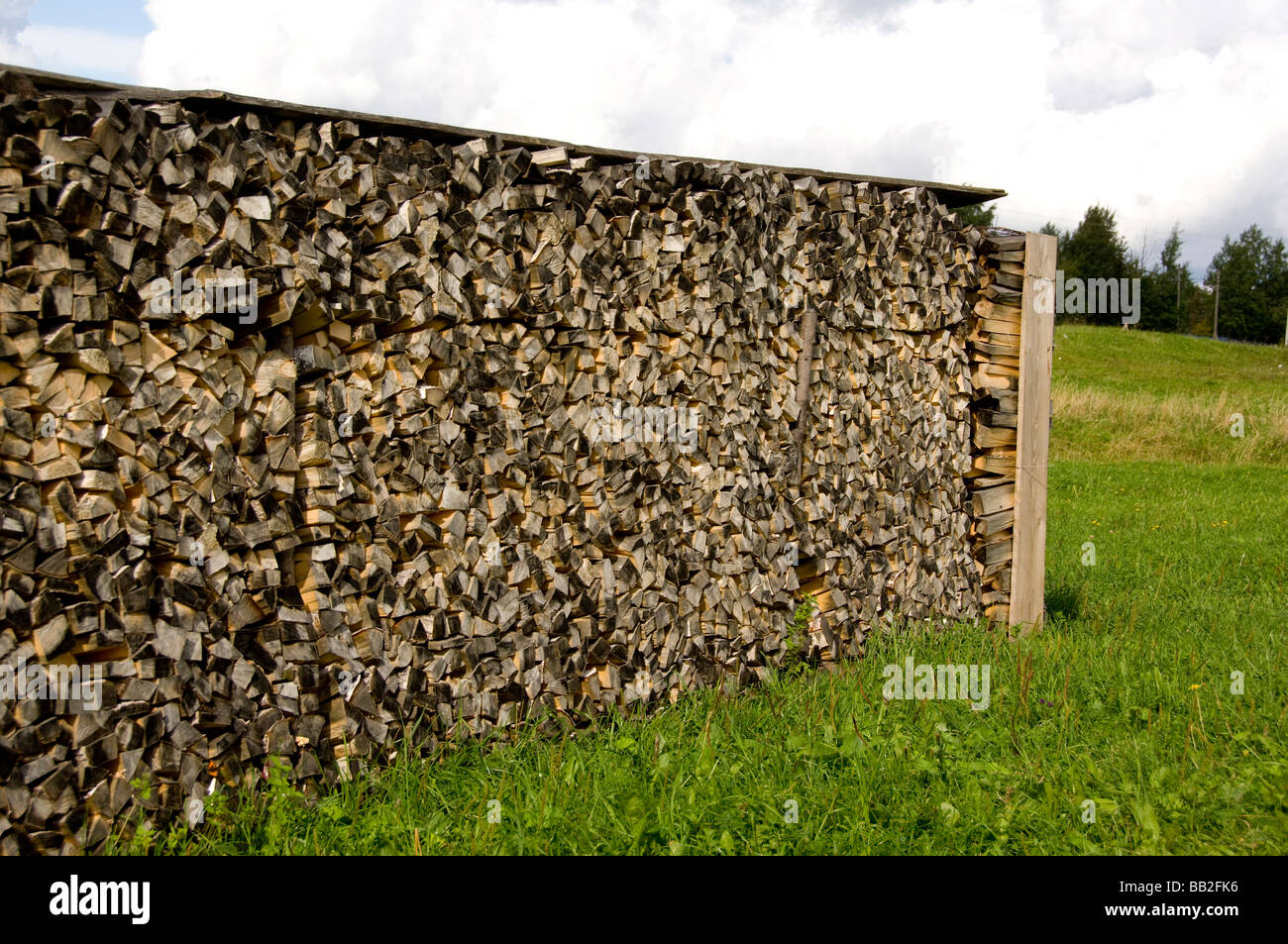 Russia, Volga-Baltic Waterway, Goritzy. Large wood pile to deal with ...
