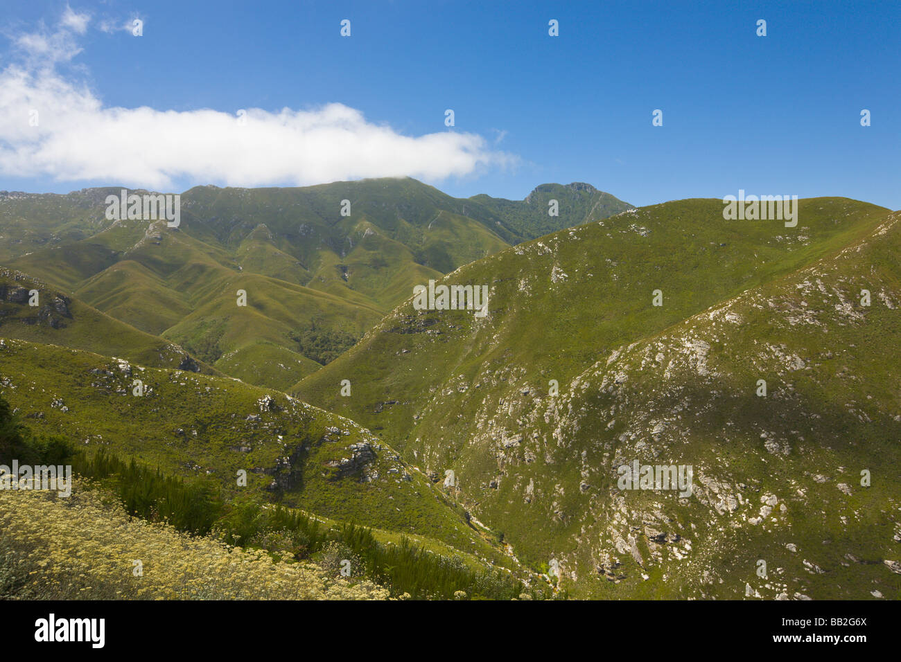 Cape fold mountain range hi-res stock photography and images - Alamy