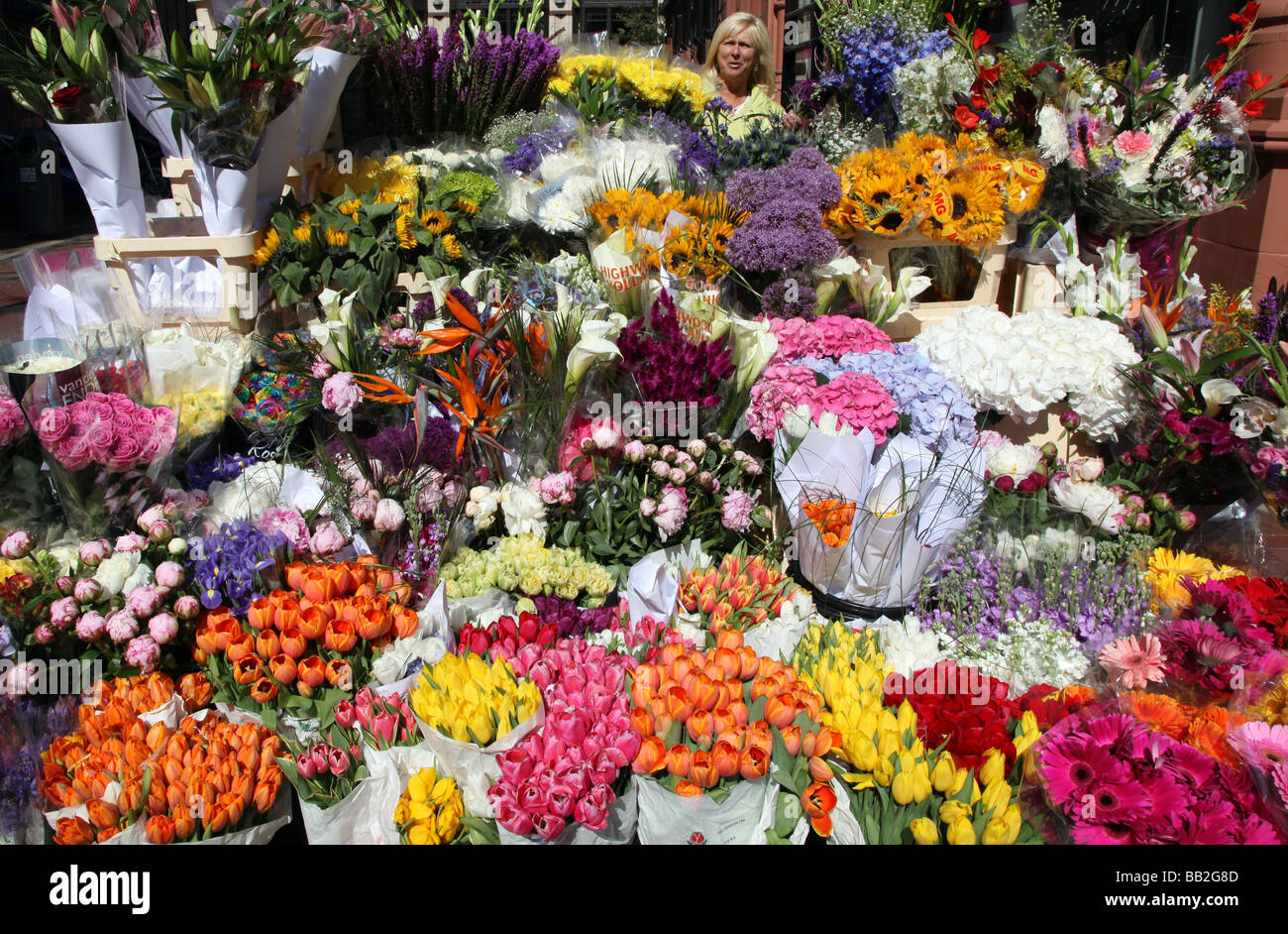 Flower stall hi-res stock photography and images - Alamy