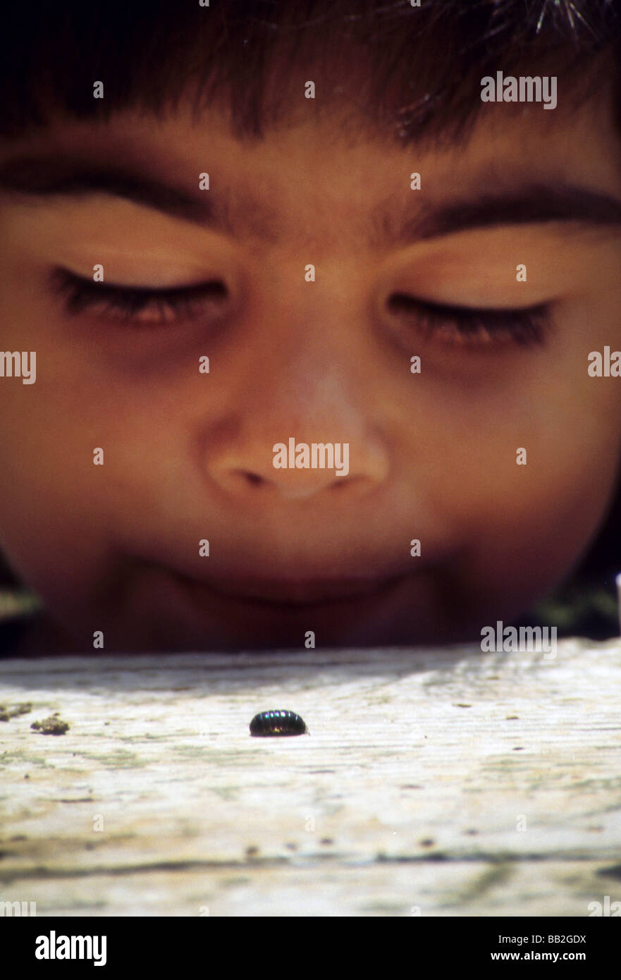 Little girl face close look eye bug insect examine see view fun inspect ...