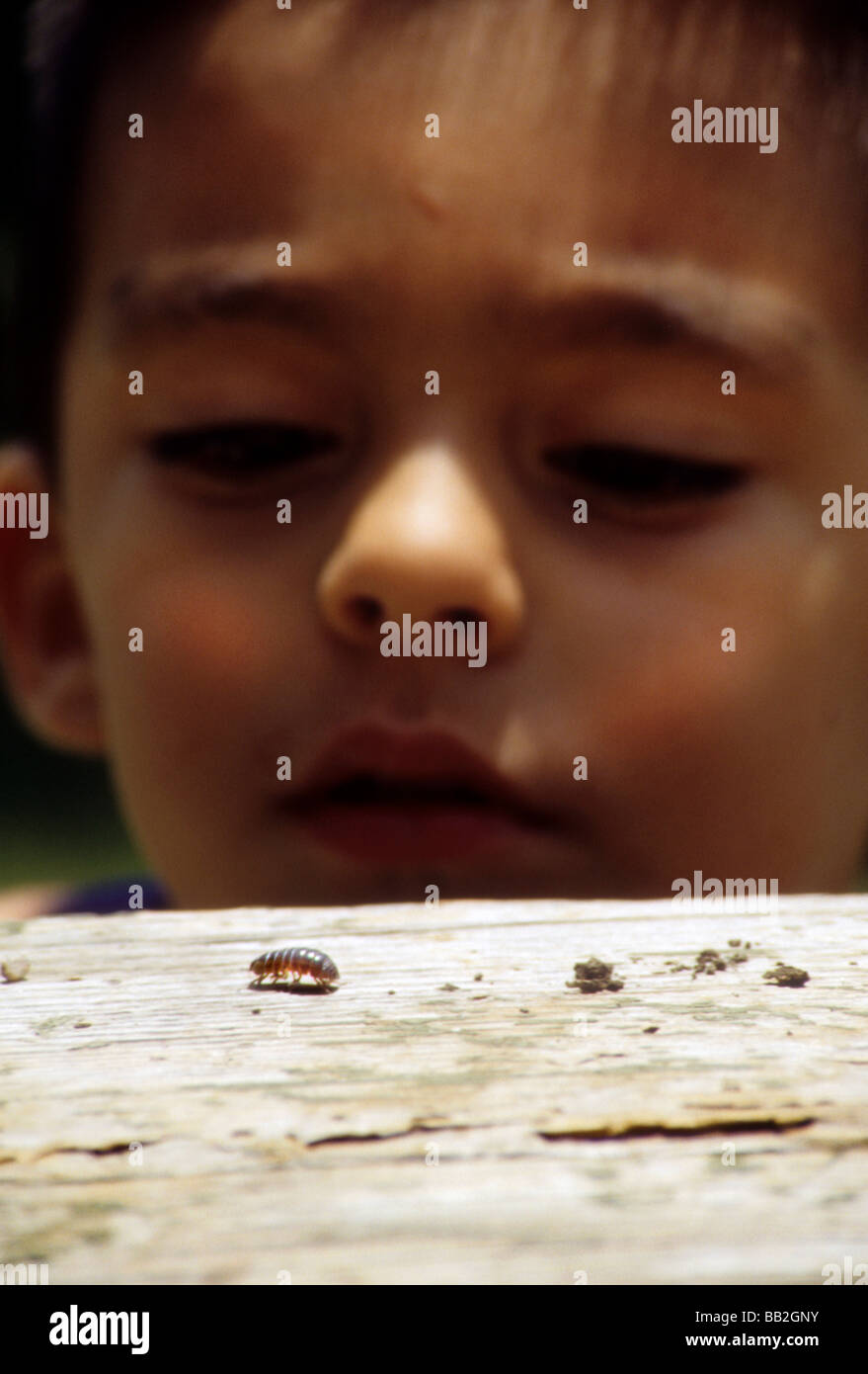 Little girl face close look eye bug insect examine see view fun inspect ...