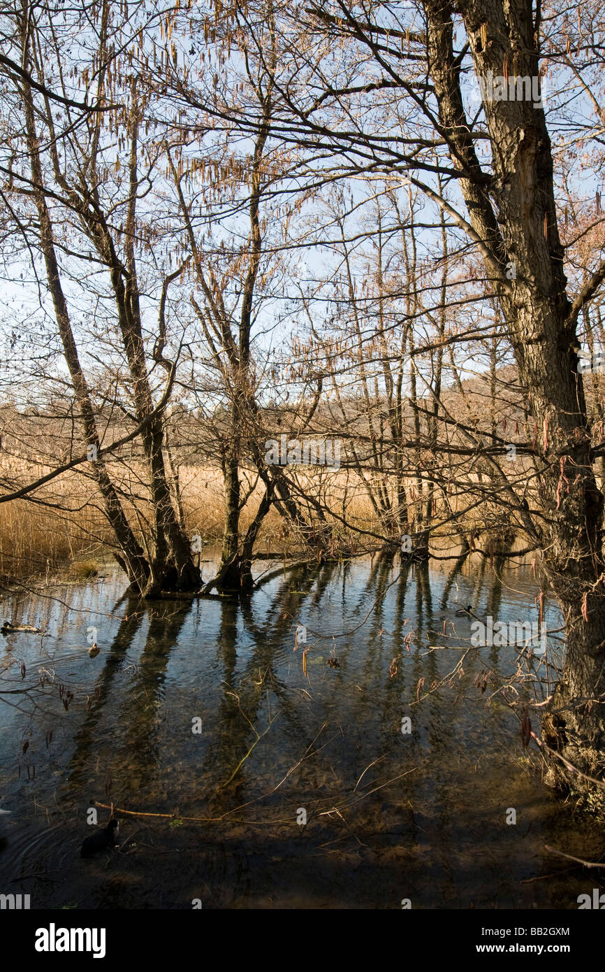 Segrino Lake to Eupilio Province of Como Italy Stock Photo - Alamy