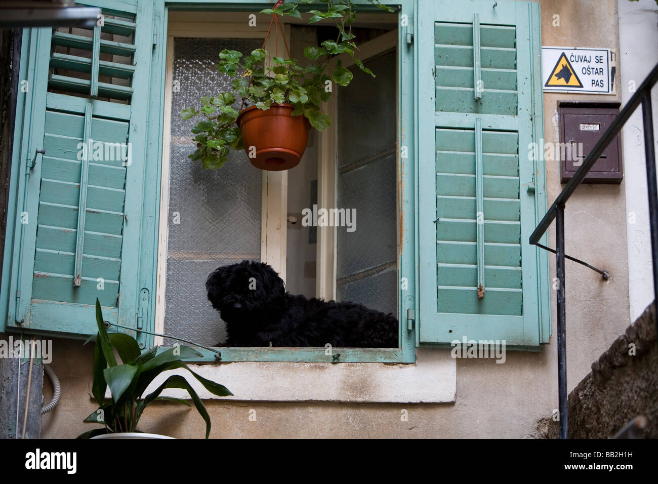 House with black shutters hi-res stock photography and images - Alamy
