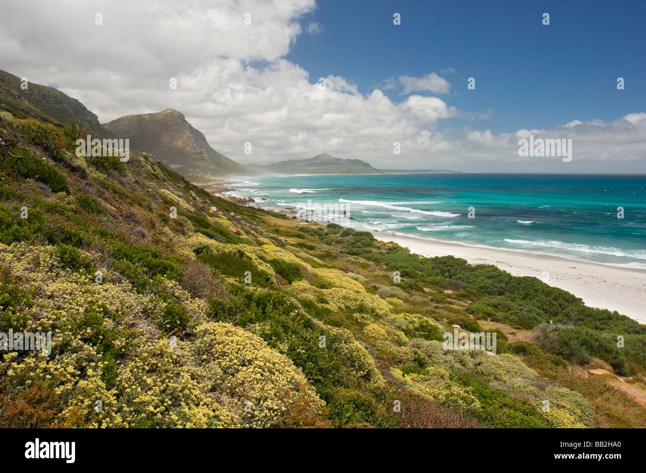 The Coastline at Misty Cliffs. Cape Point Peninsula, near Scarborough, Cape Town, South Africa ...
