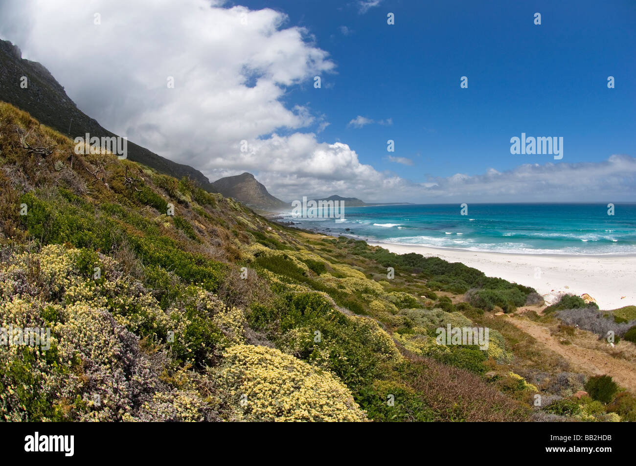 The Coastline at Misty Cliffs. Cape Point Peninsula, near Scarborough ...