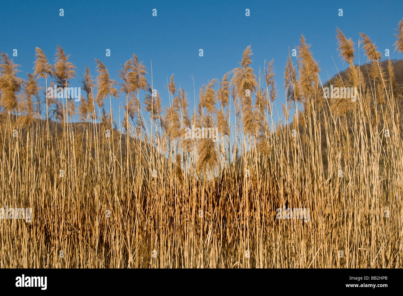 Segrino Lake to Eupilio Province of Como Italy Stock Photo - Alamy