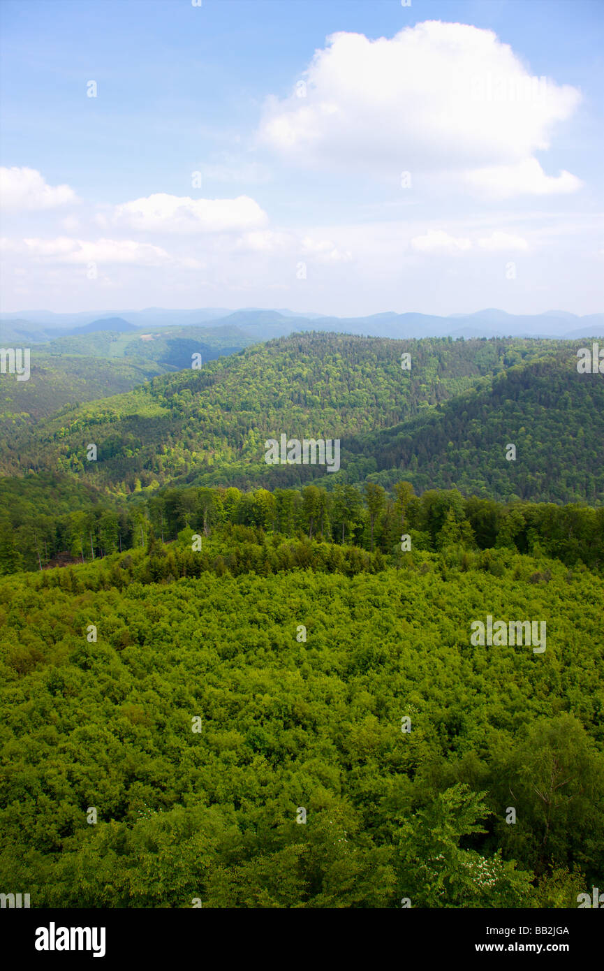 Landscape in Rhineland-Palatinate germany sky Stock Photo - Alamy