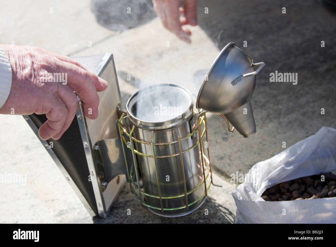 Pumping air while lighting the smoker used to calm Bees, in preparation ...