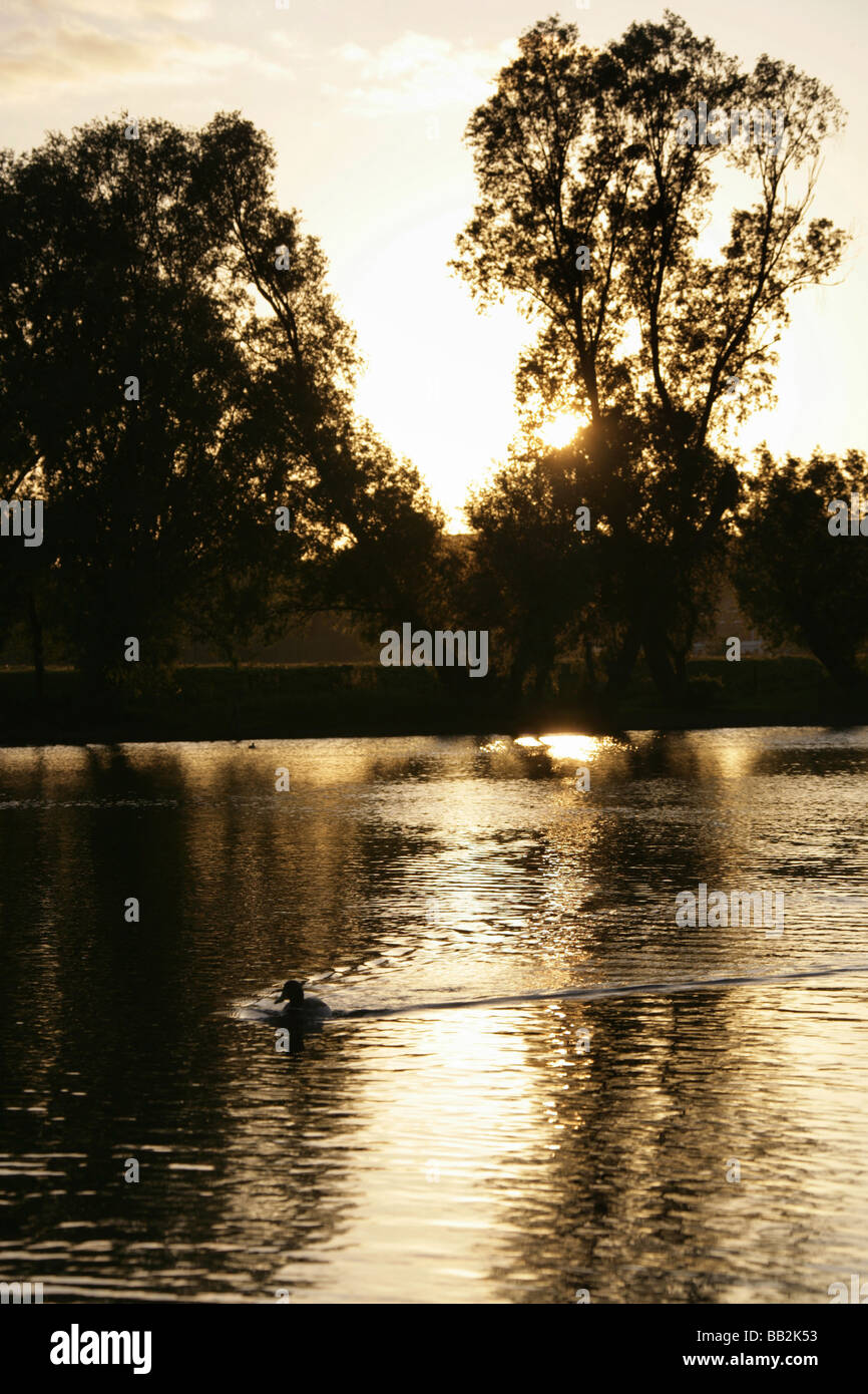 City of Chester, England. Tranquil sunset scene of ducks silhouetted on ...