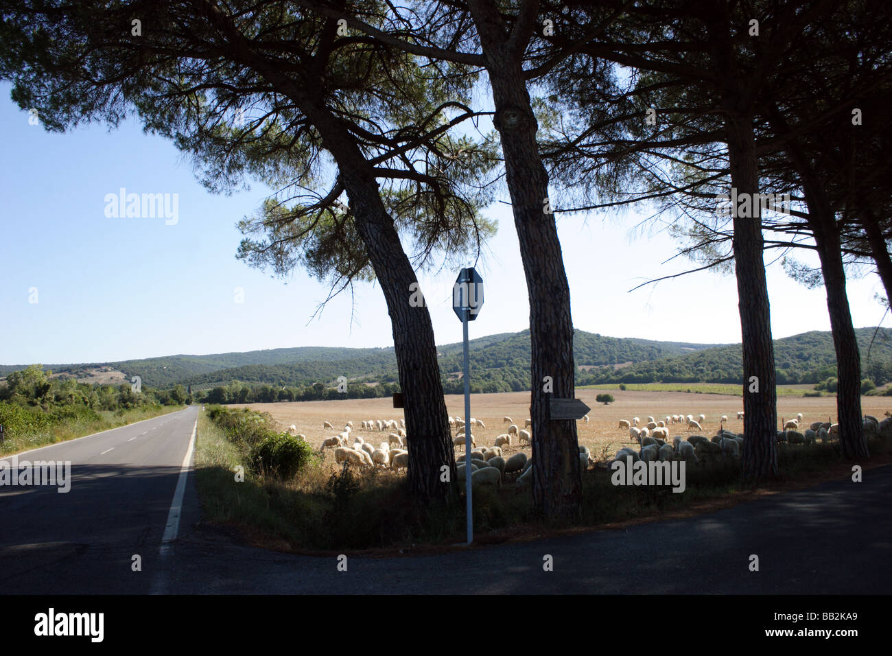 Tuscany road signs hi-res stock photography and images - Alamy